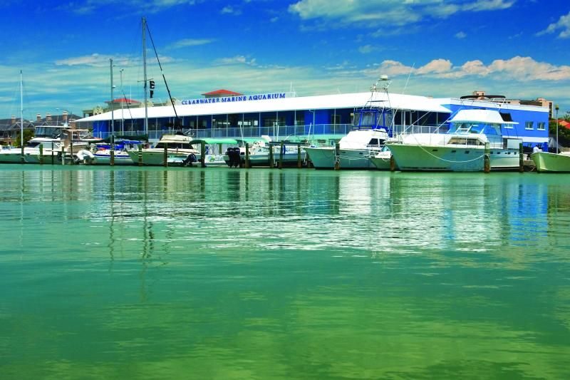 From Orlando: Clearwater Beach and Marine Aquarium Admission - Itinerary Breakdown