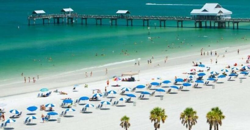 From Orlando: Clearwater Beach and Marine Aquarium Admission - Authentic Marine Encounters and Educational Value