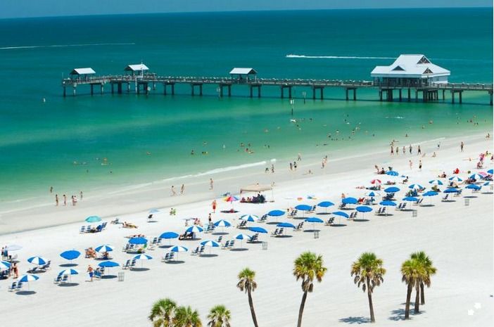 From Orlando: Clearwater Beach and Marine Aquarium Admission - The Sum Up