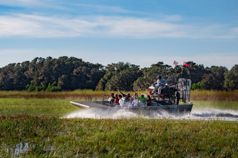 From Orlando: Swamp Airboat Ride and Gatorland Entry - Gatorland: All About Alligators