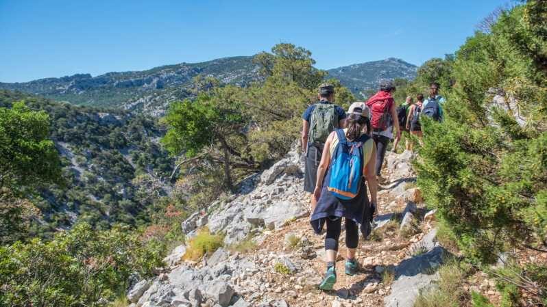From Orosei/Dorgali: Hike to Cala Luna - Guided Day Trip - A Deep Dive into the Experience