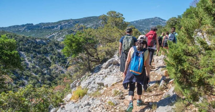 From Orosei/Dorgali: Hike to Cala Luna - Guided Day Trip - Authentic Insights from Past Travelers