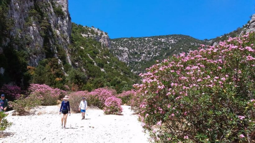 From Orosei/Dorgali: Hike to Cala Luna - Guided Day Trip - Final Thoughts