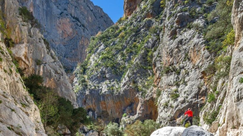 From Orosei or Dorgali: Gorropu canyon Guided Hiking Tour - Key Points