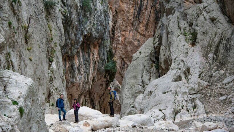 From Orosei or Dorgali: Gorropu canyon Guided Hiking Tour - Why We Think This Tour Is a Great Value