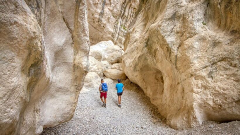 From Orosei or Dorgali: Gorropu canyon Guided Hiking Tour - Frequently Asked Questions