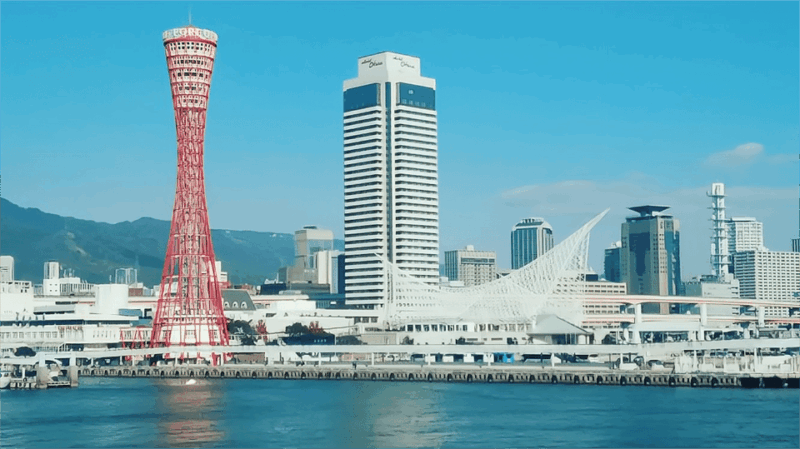 From Osaka: 10-hour Private Custom Tour to Kobe - Key Points
