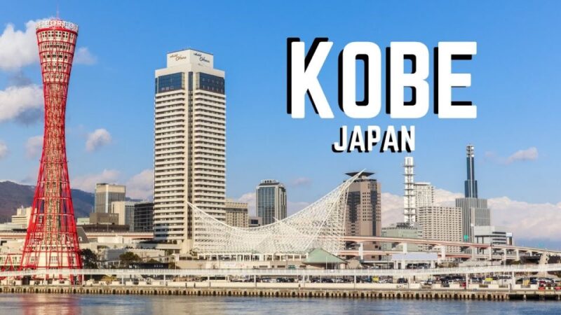 From Osaka: 10-hour Private Custom Tour to Kobe - Highlights of the Tour Experience