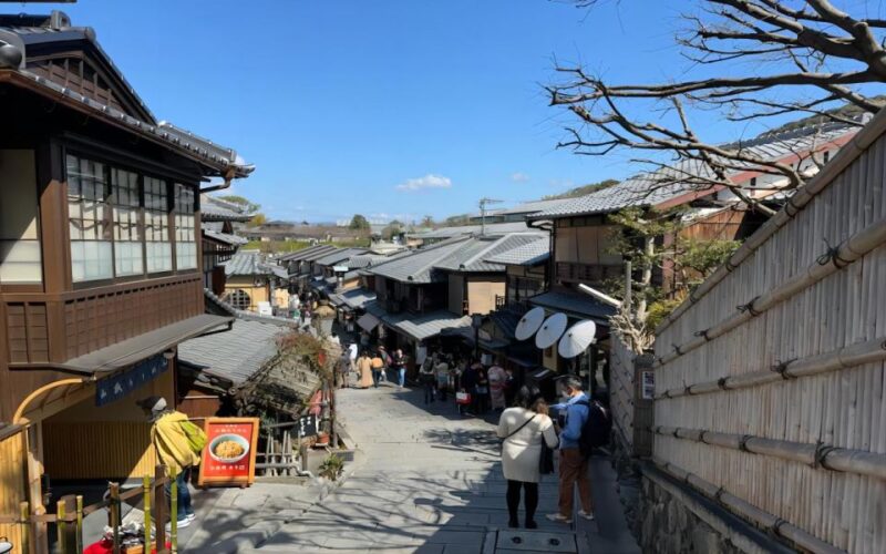 From Osaka: 10-hour Private Custom Tour to Kyoto - Experience Features