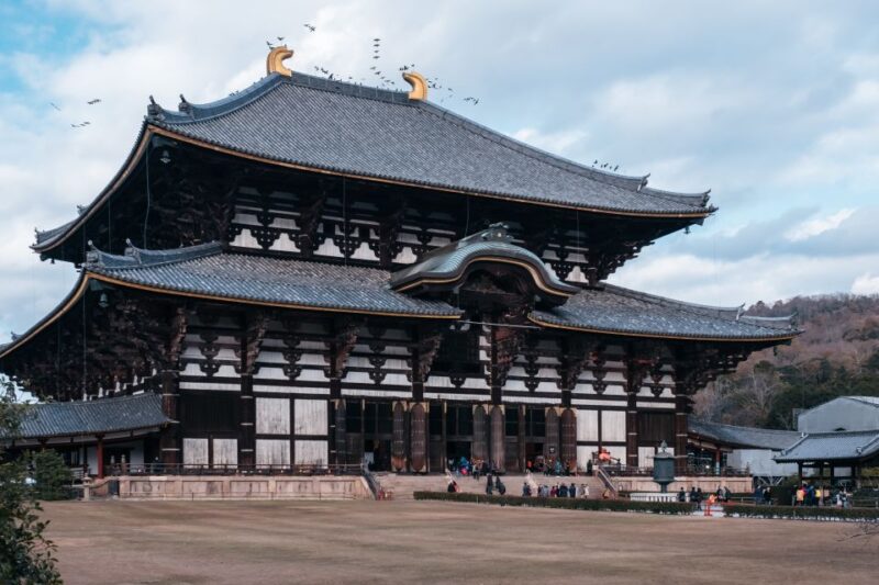 From Osaka: 10-hour Private Custom Tour to Nara - Inclusions