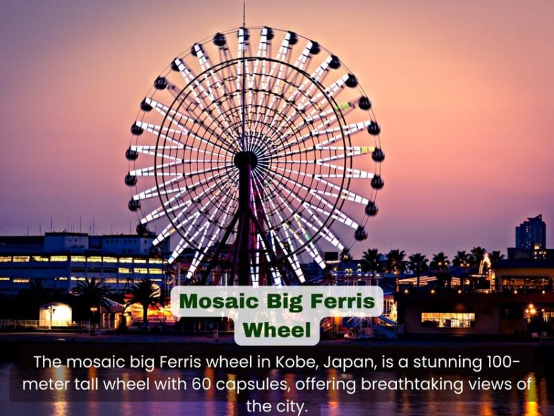 From Osaka: KOBE 1-Day TOUR With English Speaking Driver. - Transportation and Services