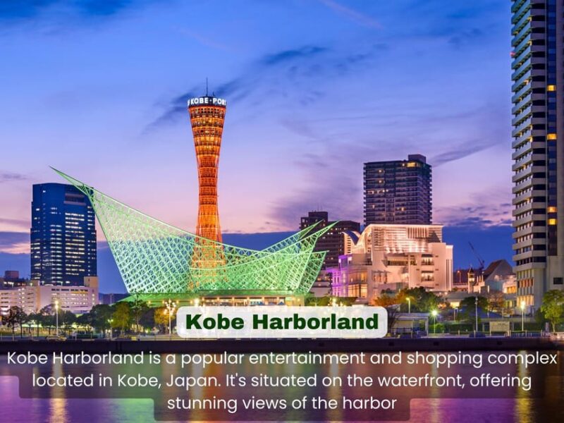 From Osaka: KOBE 1-Day TOUR With English Speaking Driver. - Pickup Location and Accessibility