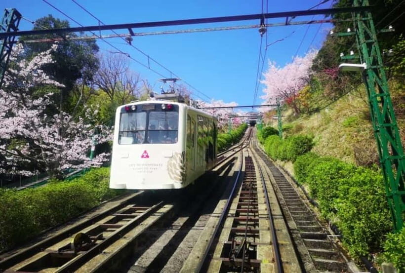 From Osaka/Kyoto: Amanohashidate Day Tour with Lunch - Why Choose This Tour?