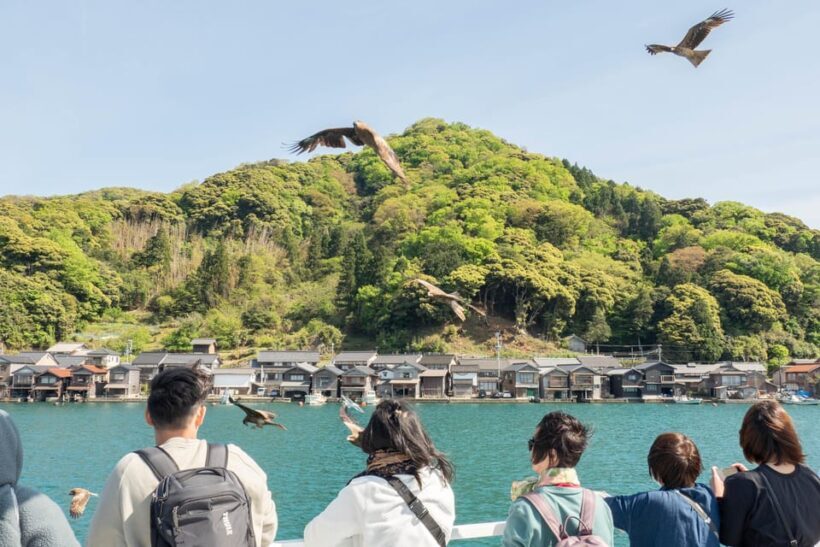 From Osaka/Kyoto: Amanohashidate Day TourIncluding tickets - An In-Depth Look at the Amanohashidate Day Tour