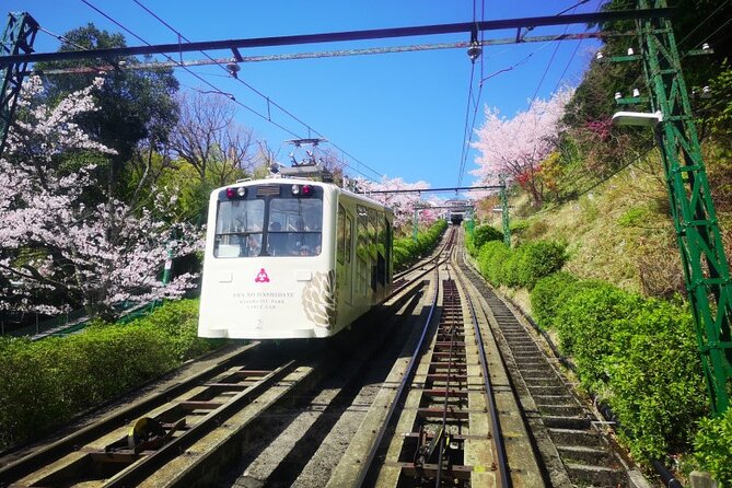 From Osaka/Kyoto: Amanohashidate & Miyama Village 1Day Bus Tour - Preparing for the Tour