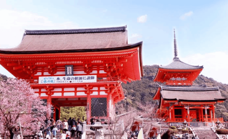 From Osaka: Kyoto Full Day Customized Private Tour - Itinerary Highlights