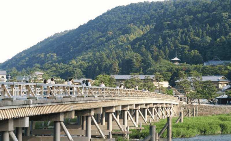 From Osaka: Kyoto Full Day Customized Private Tour - Transportation and Accessibility