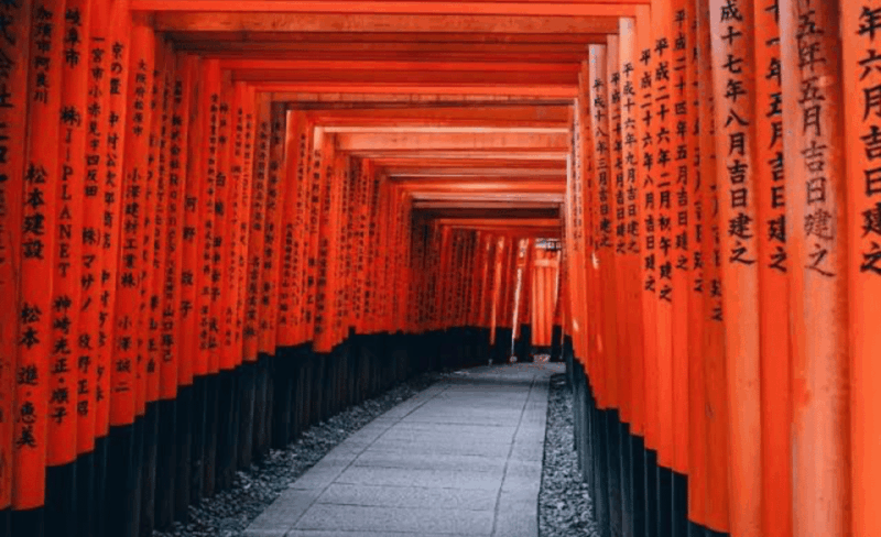 From Osaka: Kyoto Full Day Customized Private Tour - Customized Experience