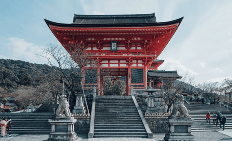 From Osaka: Kyoto Full Day Customized Private Tour - Customer Feedback