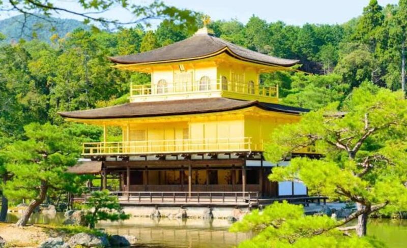 From Osaka: Kyoto Full Day Sightseeing Private Tour - Booking Information
