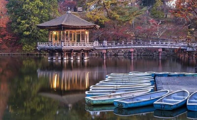 From Osaka: Kyoto Full Day Sightseeing Private Tour - Restrictions