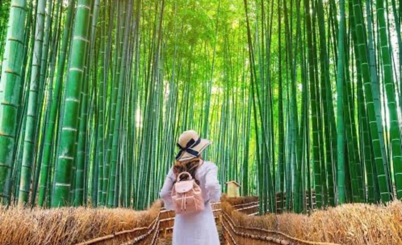 From Osaka: Kyoto Full Day Sightseeing Private Tour - Kinkakuji Temple