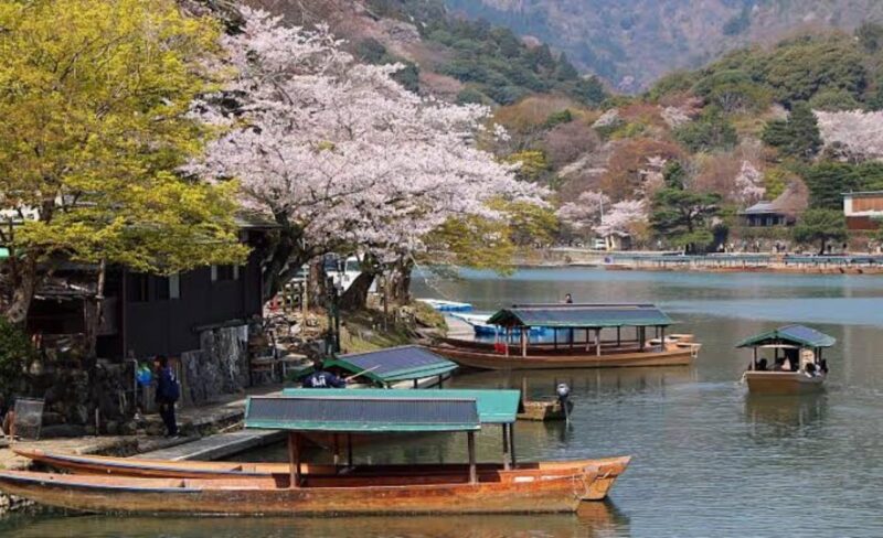 From Osaka: Kyoto Full Day Sightseeing Private Tour - Bamboo Forest Street
