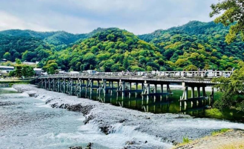 From Osaka: Kyoto Full Day Sightseeing Private Tour - Tenryuji Temple