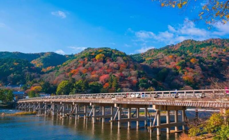 From Osaka: Kyoto Full Day Sightseeing Private Tour - Kiyomizu-dera and Gion District