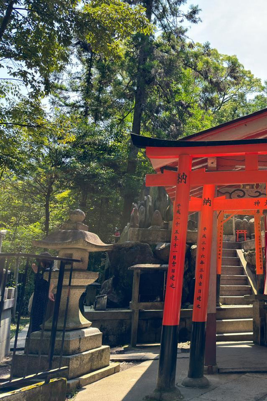 From Osaka: Kyoto Highlights One Day Private Tour - Kiyomizu-dera and Gion District