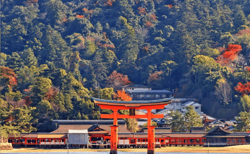 From Osaka/Kyoto: Hiroshima and Miyajima Private Tour - Itinerary Highlights