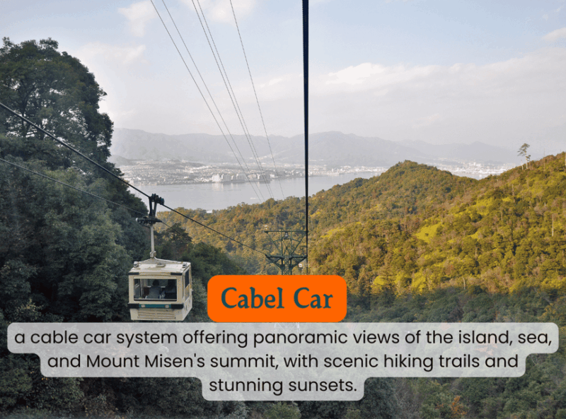 From Osaka/Kyoto: Hiroshima and Miyajima Private Tour - Transportation and Accessibility