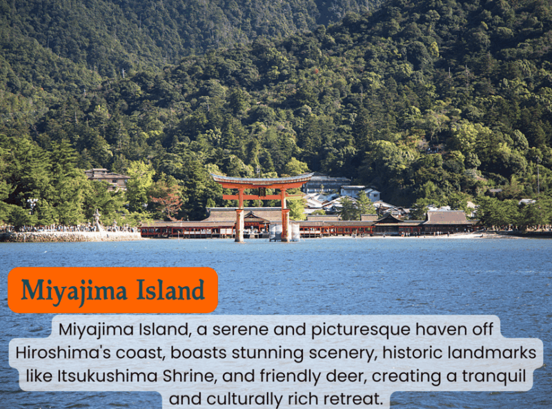 From Osaka/Kyoto: Hiroshima and Miyajima Private Tour - Customer Feedback