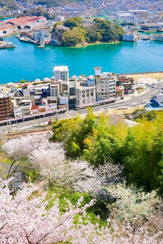 From Osaka/Kyoto: Hiroshima and Miyajima Private Tour - Pricing and Booking Details