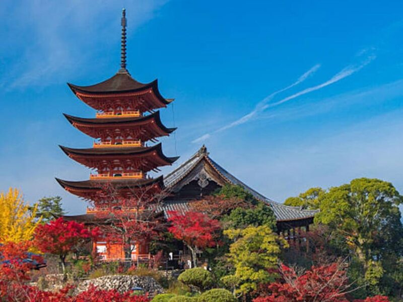 From Osaka/Kyoto: Hiroshima & Miyajima Private Guided Tour - Miyajima Island