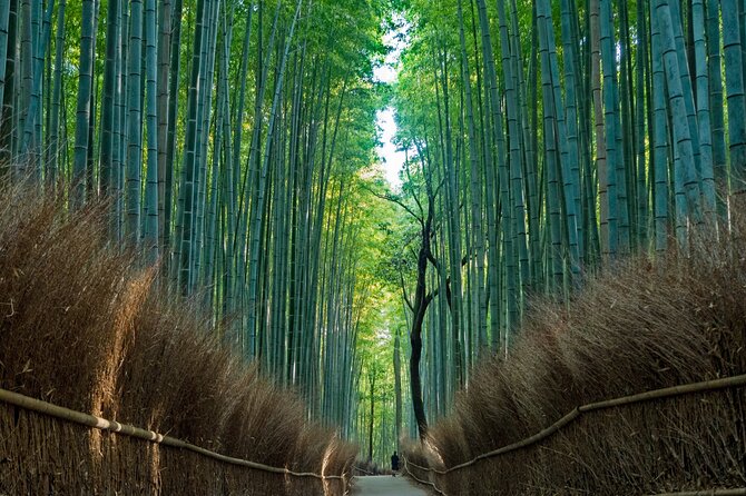 From Osaka-Kyoto: Kyoto and Nara 1Day Bus Tour - UNESCO World Heritage Sites