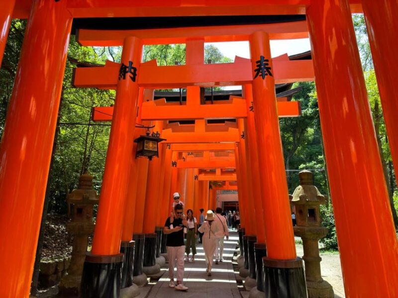 From Osaka/Kyoto: Kyoto, Nara, and Fushimi Inari Day Trip - Nara Park: Friendly Deer