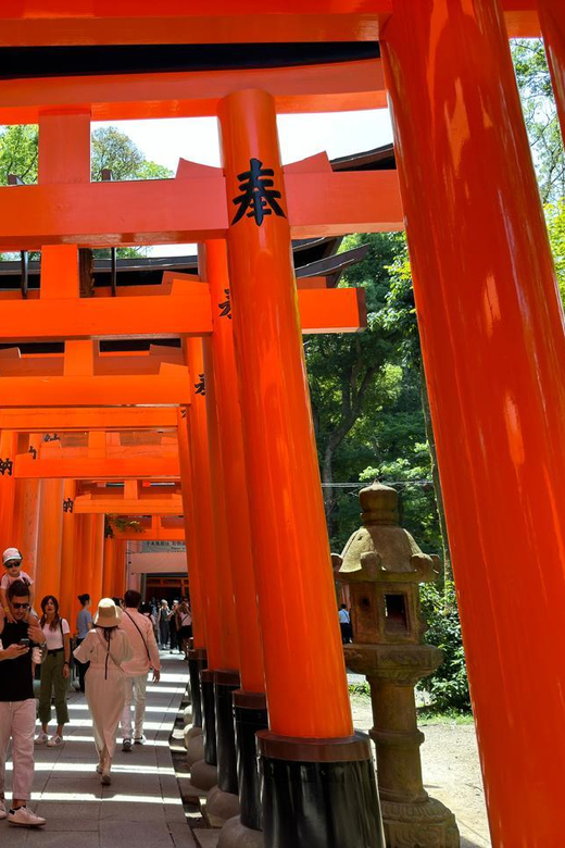 From Osaka/Kyoto: Kyoto, Nara, and Fushimi Inari Day Trip - Important Guidelines and Considerations