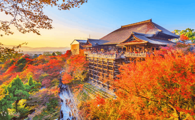 From Osaka/Kyoto: Kyoto & Nara Private Sightseeing Day Trip. - Key Points