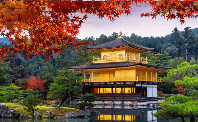From Osaka/Kyoto: Kyoto & Nara Private Sightseeing Day Trip. - Transportation and Accessibility