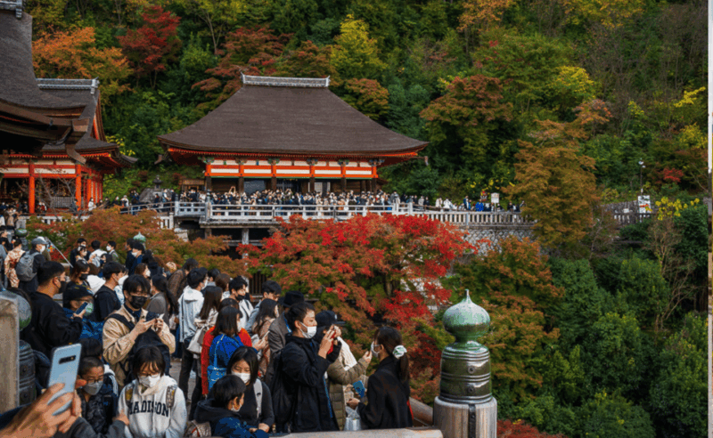 From Osaka/Kyoto: Kyoto & Nara Private Sightseeing Day Trip. - Customer Experience and Reviews
