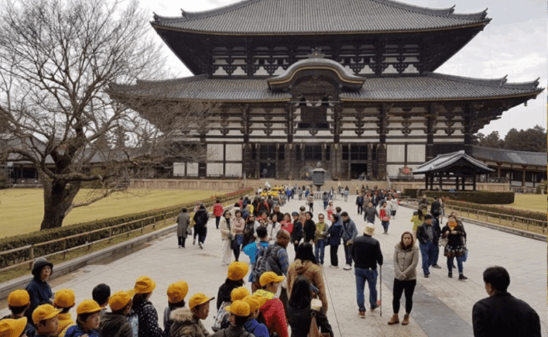 From Osaka/Kyoto: Kyoto & Nara Private Sightseeing Day Trip. - UNESCO World Heritage Sites