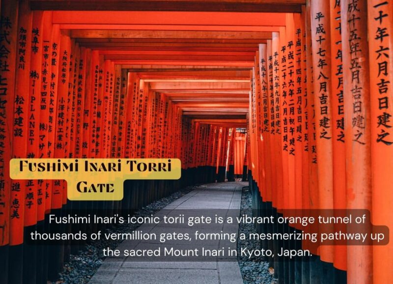 From Osaka/Kyoto: Kyoto & Nara Private Sightseeing Day Trip. - Highlights and Iconic Landmarks