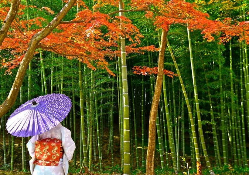 From Osaka/Kyoto: Kyoto UNESCO World Heritage Sites Day Tour - Exploring Kyoto’s UNESCO World Heritage Sites