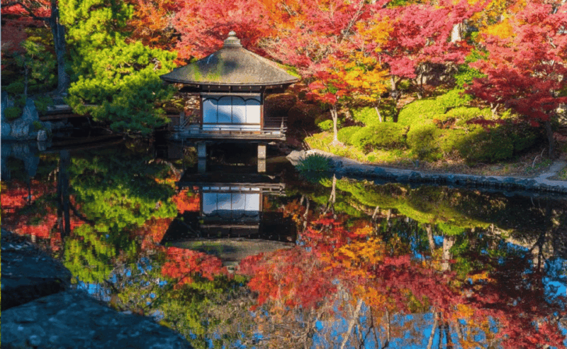 From Osaka/Kyoto: Mount Koya & Wakayama Private Day Trip . - Transportation and Guide Services