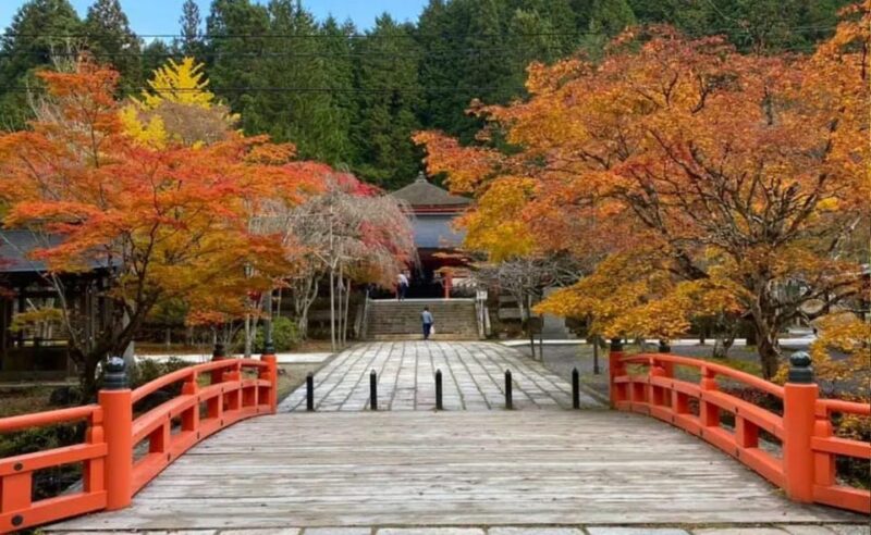 From Osaka/Kyoto: Mount Koya & Wakayama Private Day Trip . - Customer Feedback and Ratings