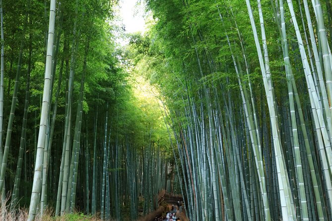 From Osaka: Kyoto Must-see Spots & Nara Park Sightseeing Day Tour - Accessibility