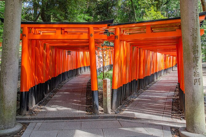 From Osaka: Kyoto Must-see Spots & Nara Park Sightseeing Day Tour - Reviews and Feedback