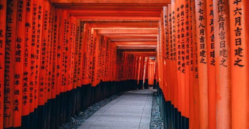 From Osaka/Kyoto: Private Kyoto & Nara Day Trip with Pickup - Key Points