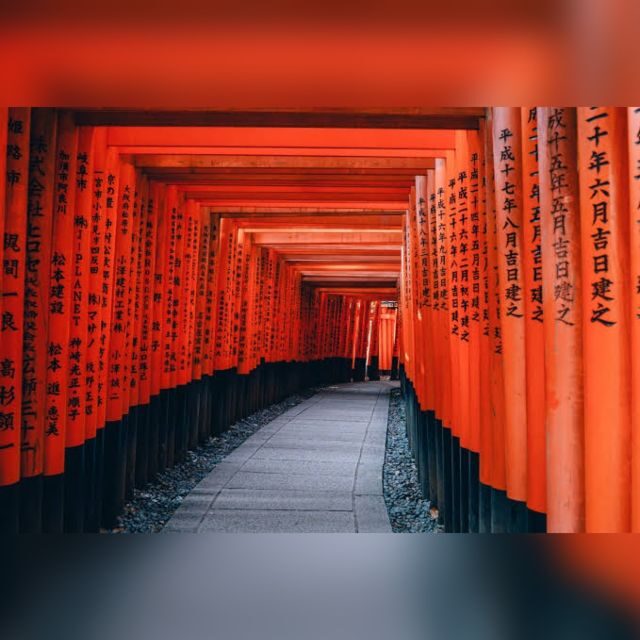 From Osaka/Kyoto: Private Kyoto & Nara Day Trip with Pickup - The Itinerary: From Deer to Golden Temples